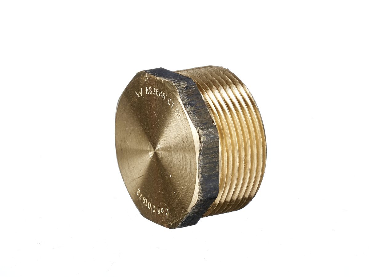 Brass Plug Hex 40mm from Reece